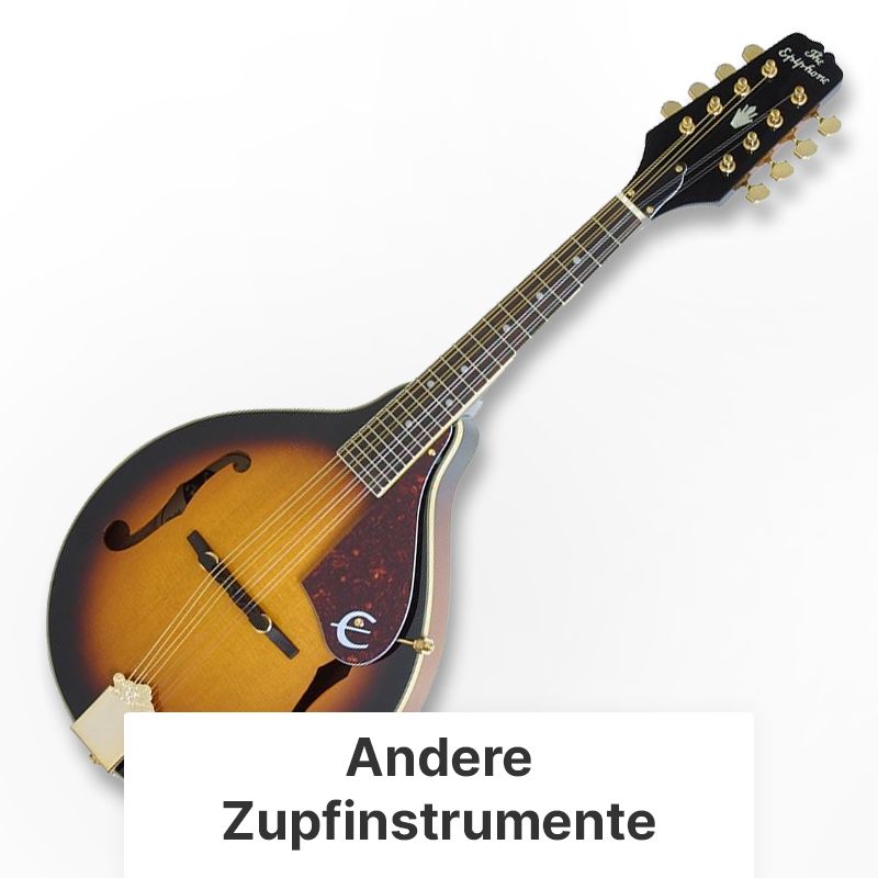 Zupfinstrumente online kaufen bei Musikhaus Markstein